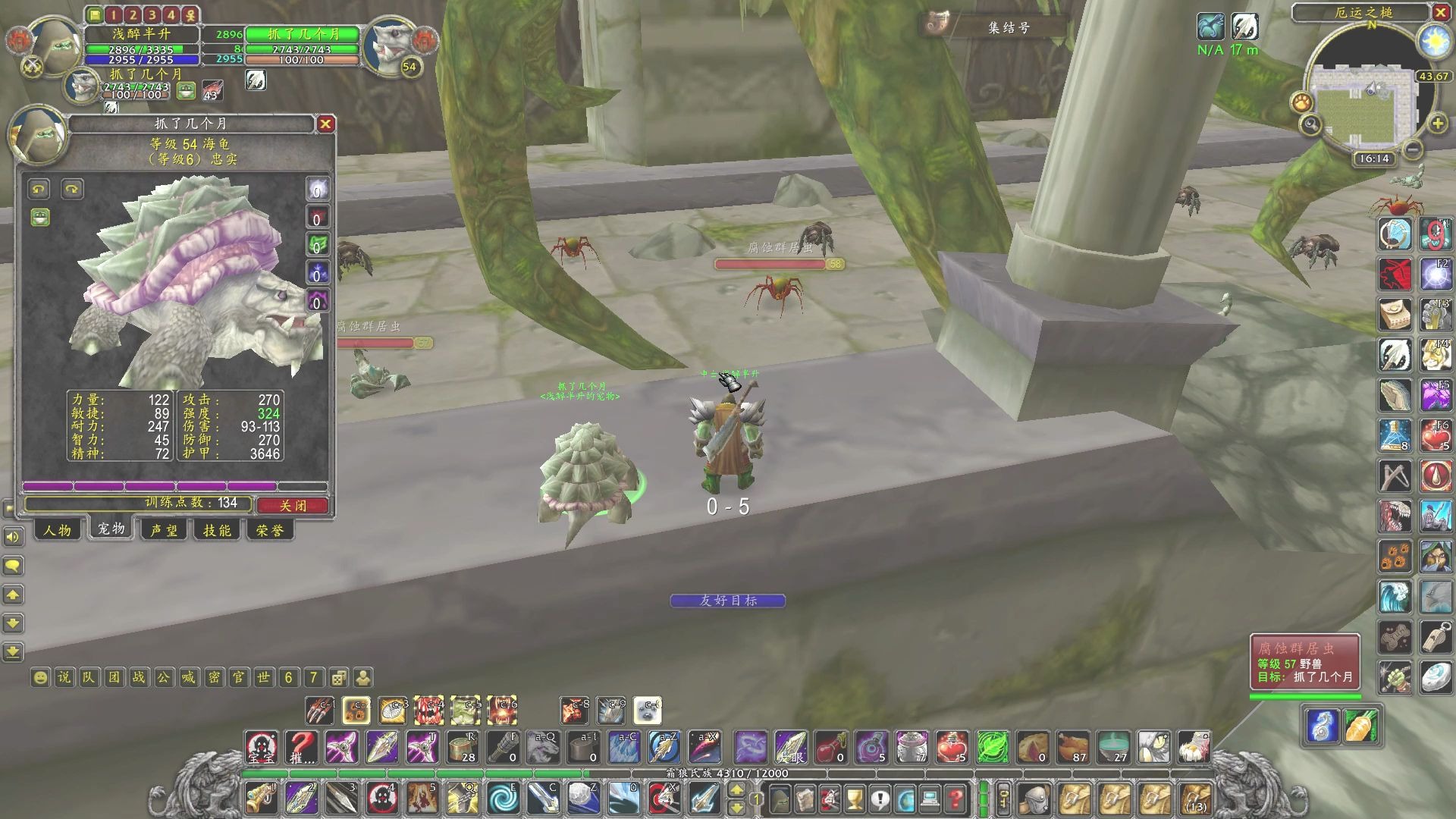 魔兽世界怀旧服:独狼猎人练宝宝顺便刷钱,比上次刷虫子效率还高