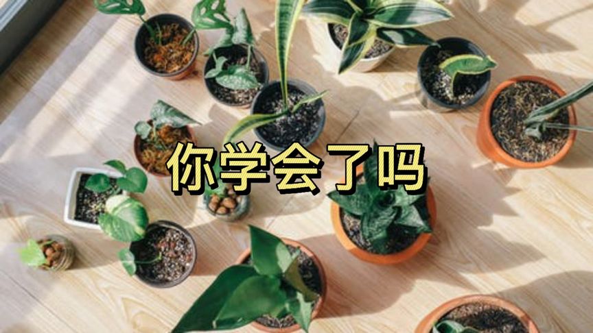 二十种植物简笔画超逼真!