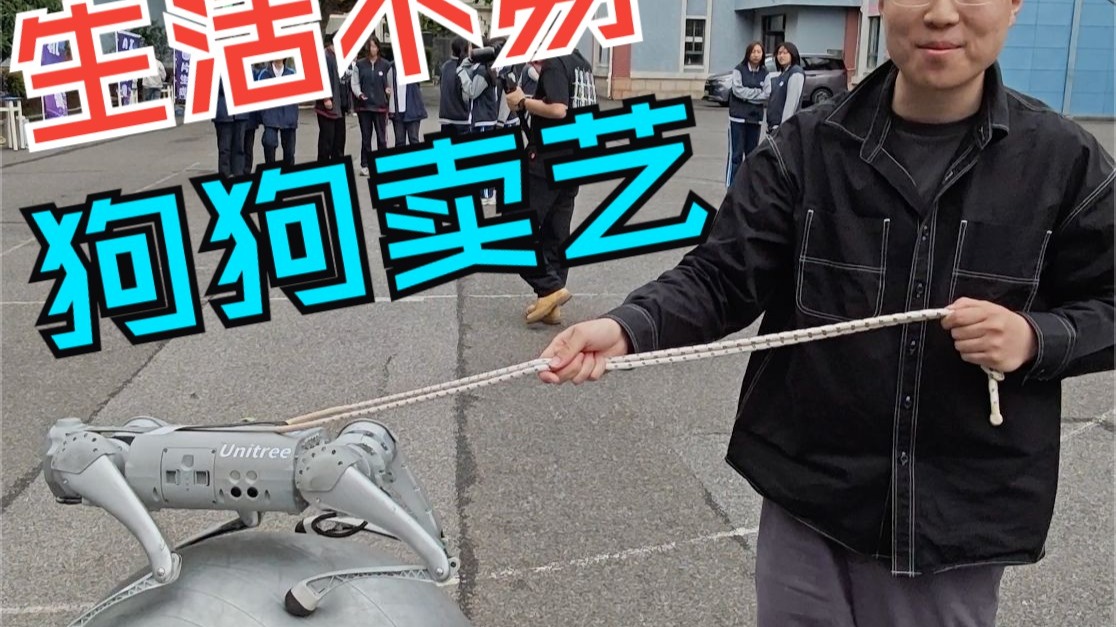 我呼吁:用机器人表演全面取代动物表演!