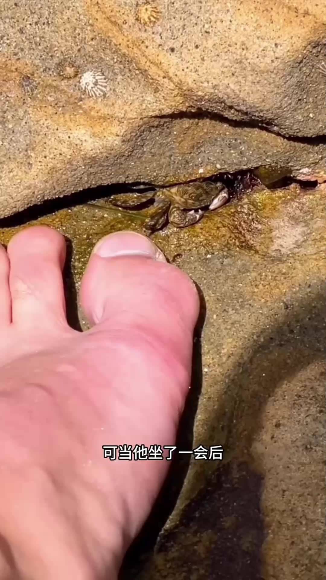 如果你在海边感觉脚痒痒的,不要害怕,那可能是修脚师傅