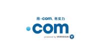 .COM域名注册-现在开始打造你的品牌!