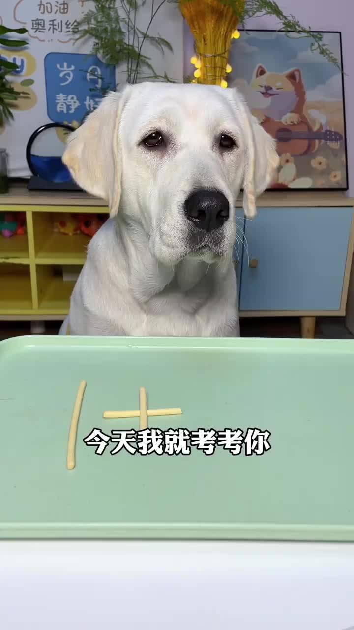 算不会就生气的样子像极了小时候的你