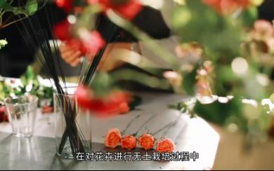 花卉无土栽培基质的研究