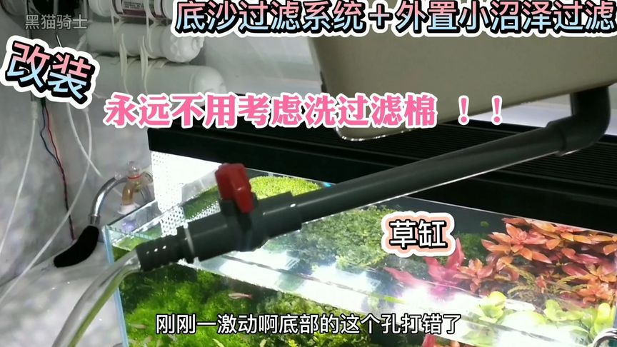 永远不用考虑洗过滤棉的草缸!底沙过滤系统+改装外置小沼泽过滤