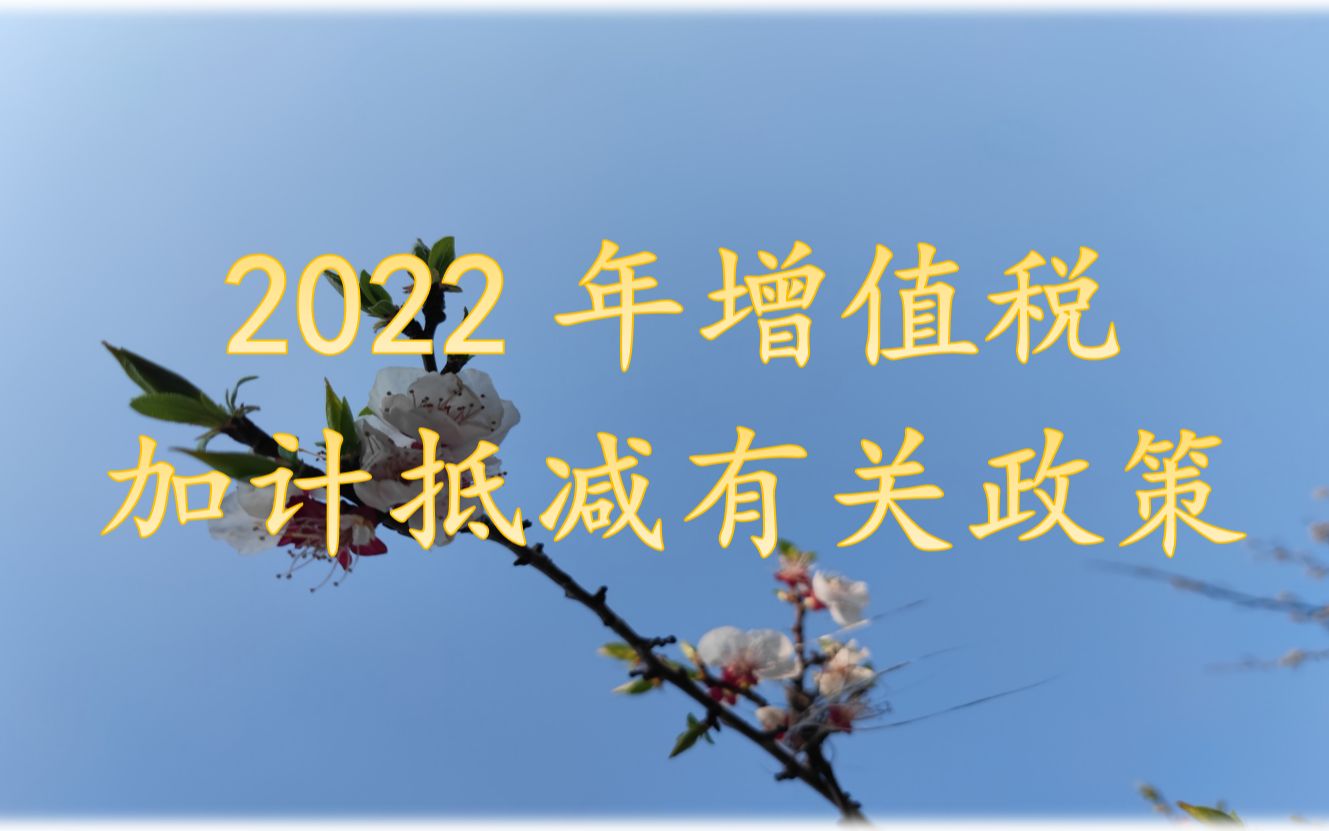 2022年增值税加计抵减政策专家解读