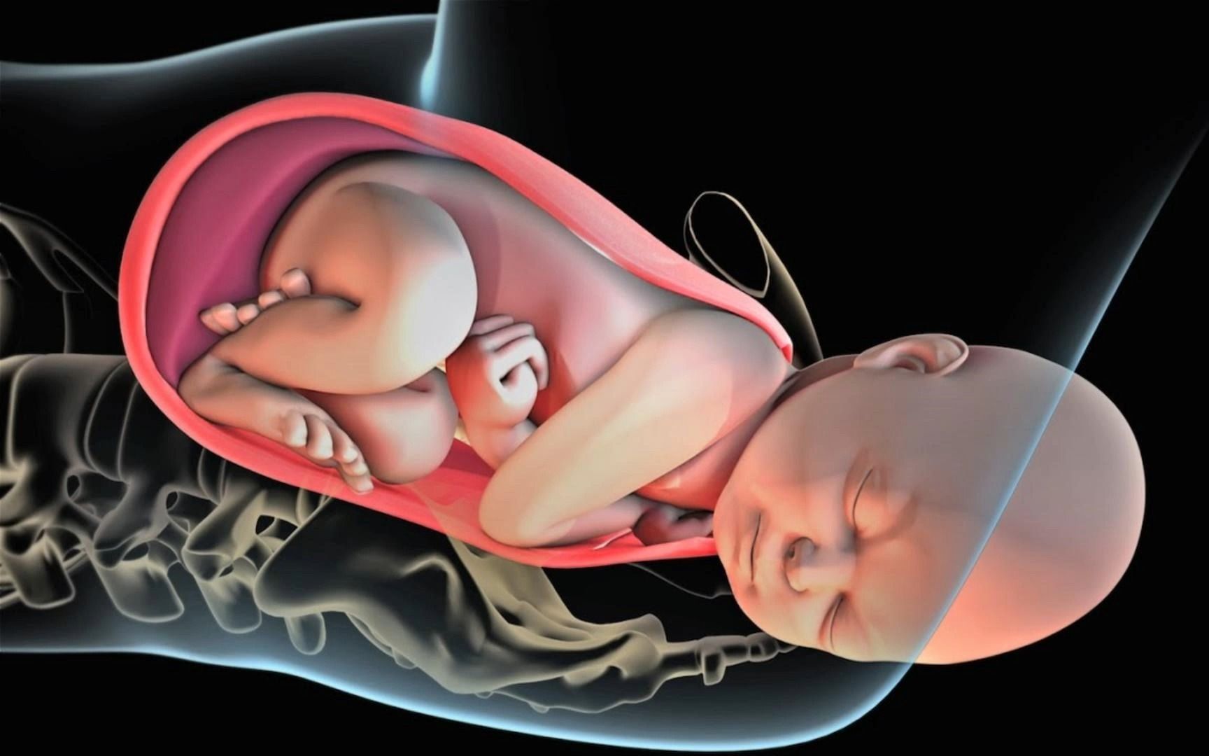 自然分娩高清三维动画演示-妈妈的不易和伟大