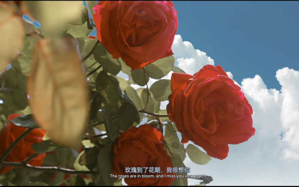 手机调色|高级复古电影感玫瑰滤镜调色来啦(参数已经整理好啦,在下方...