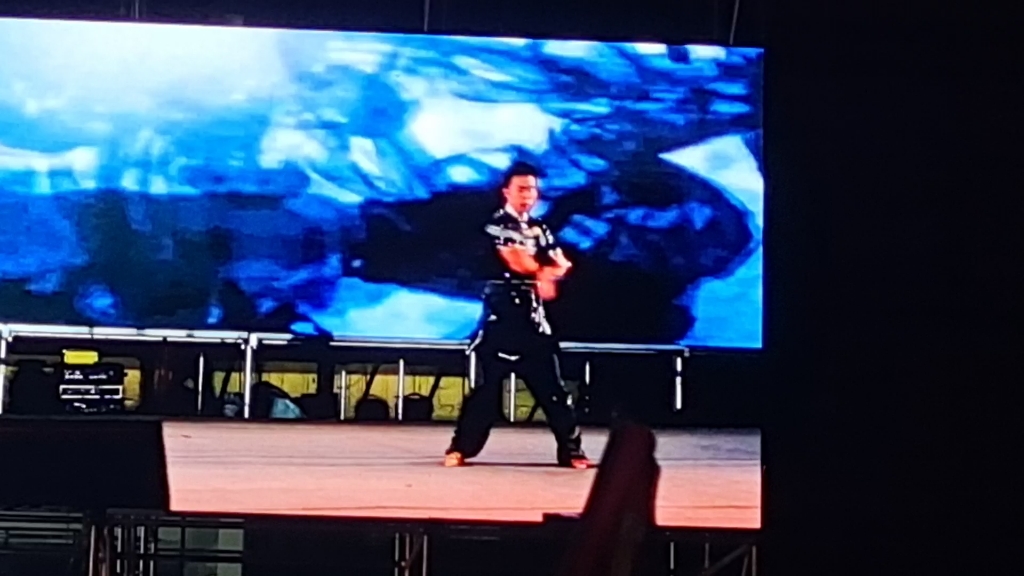 学校武术队学长的表演!