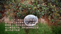 《高空作业》安全视频