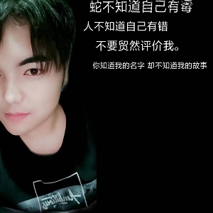微信主题定制 