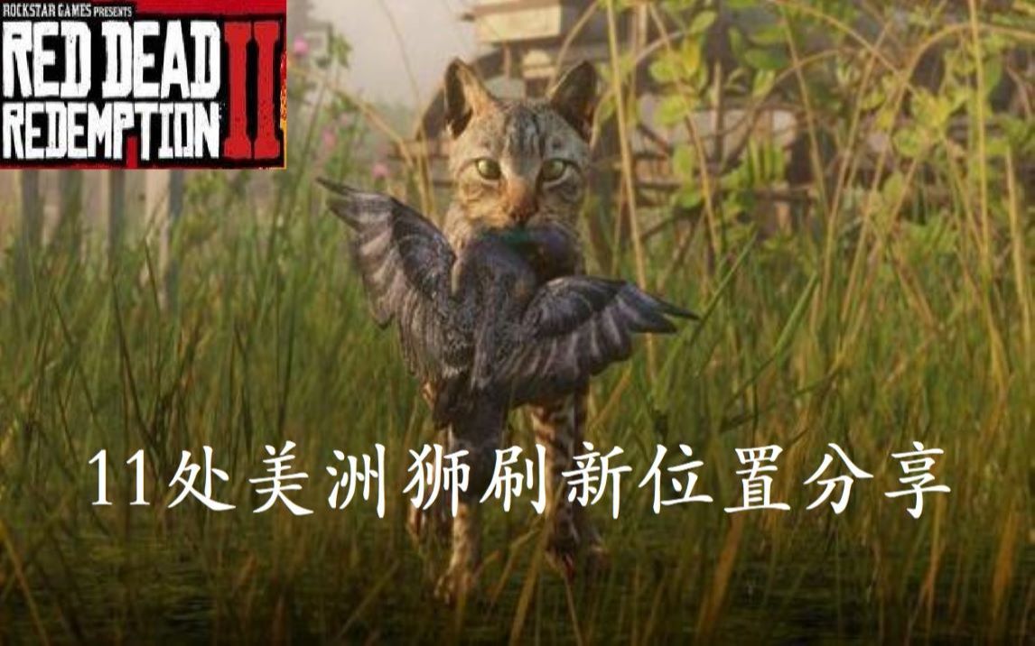 【荒野大镖客2】线上11处美洲狮刷新位置(更新后已失效)