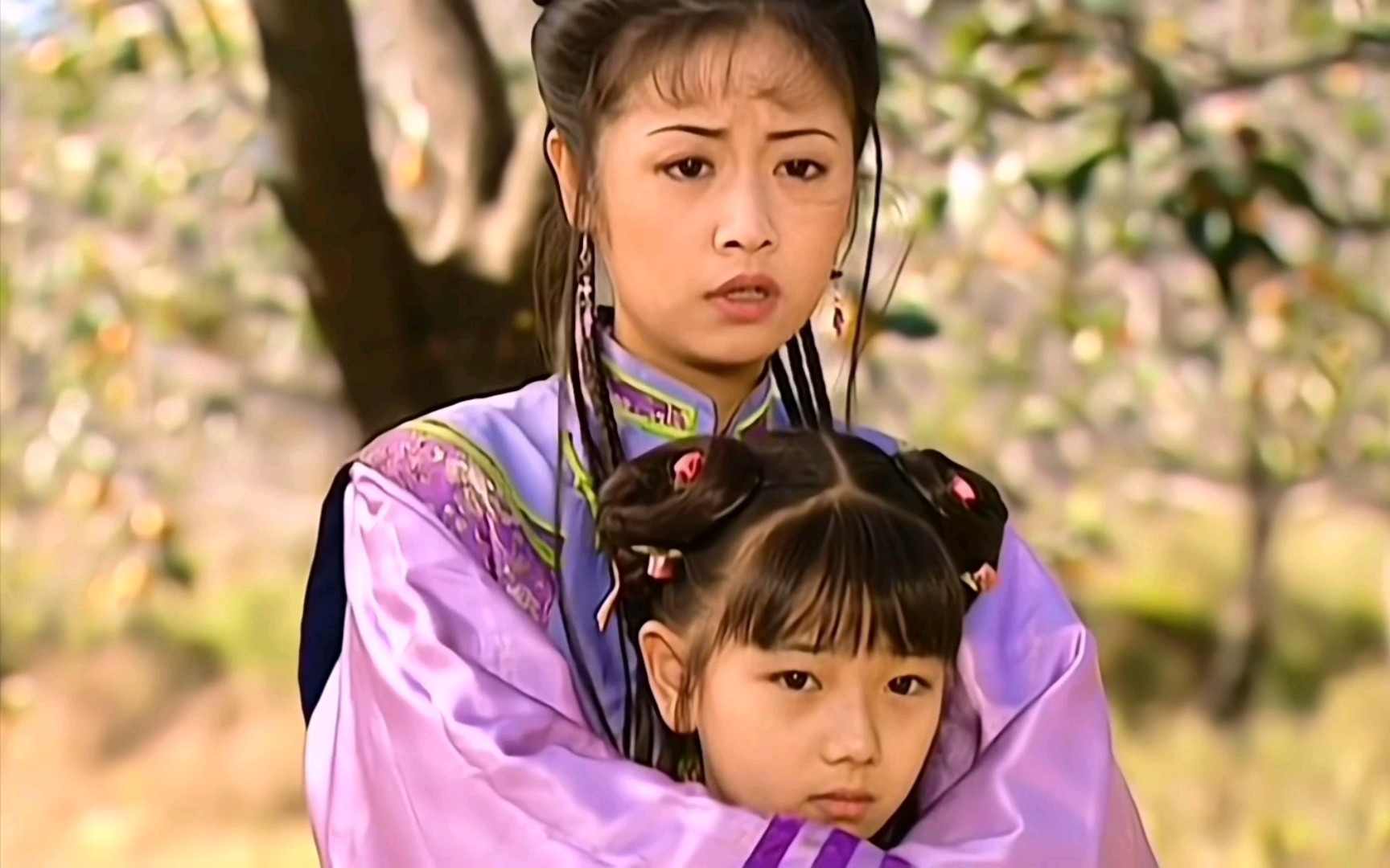 还珠格格——偷的是柿子,伤的是钱包,小燕子这回是赔大发了(封面是大...