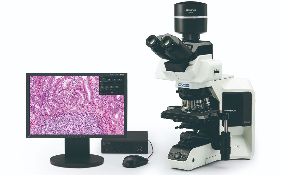 研究级生物荧光显微镜——第三部分DIC微分干涉照明观察