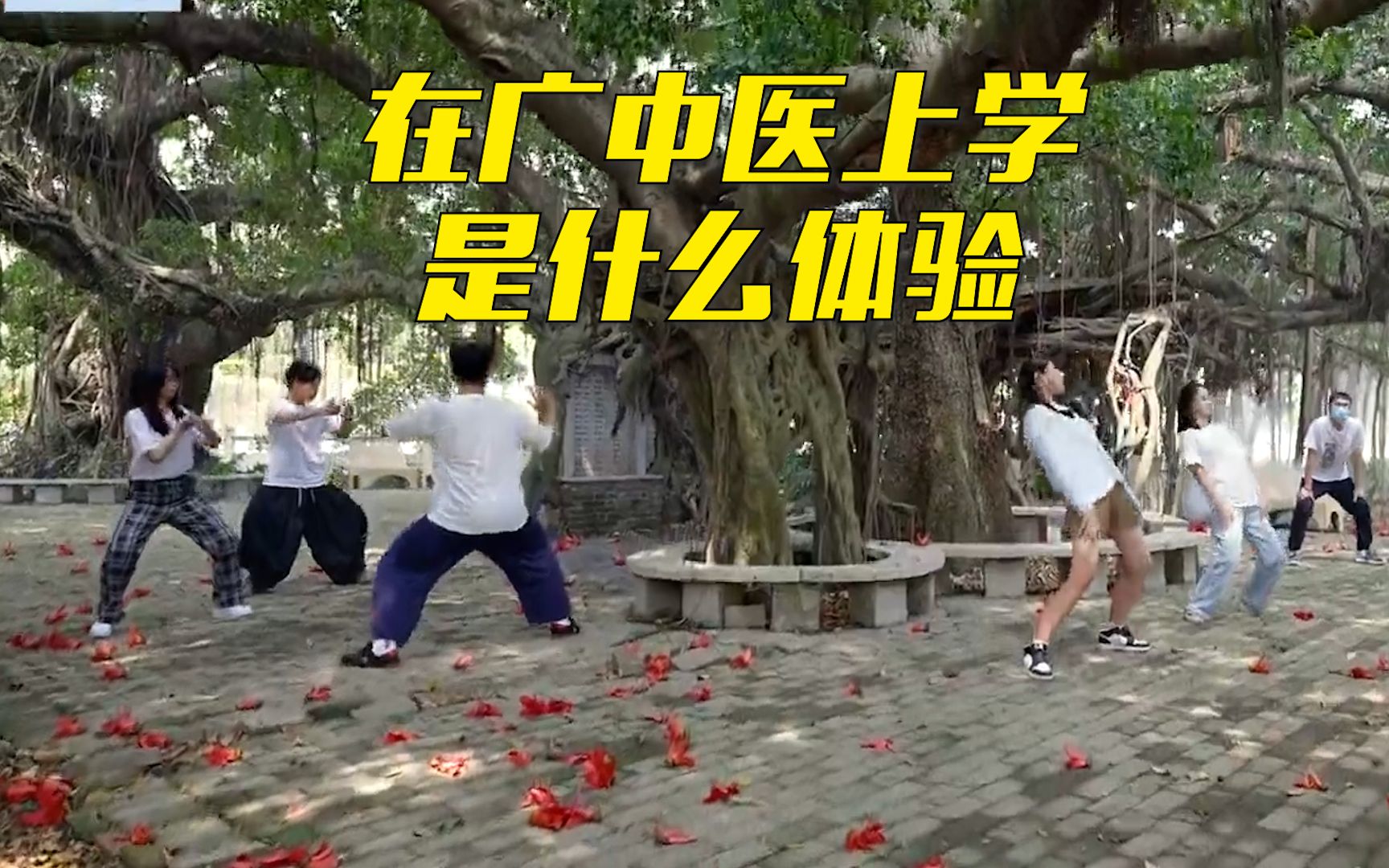 【遇见大学】走!一起去广中医get养生秘笈