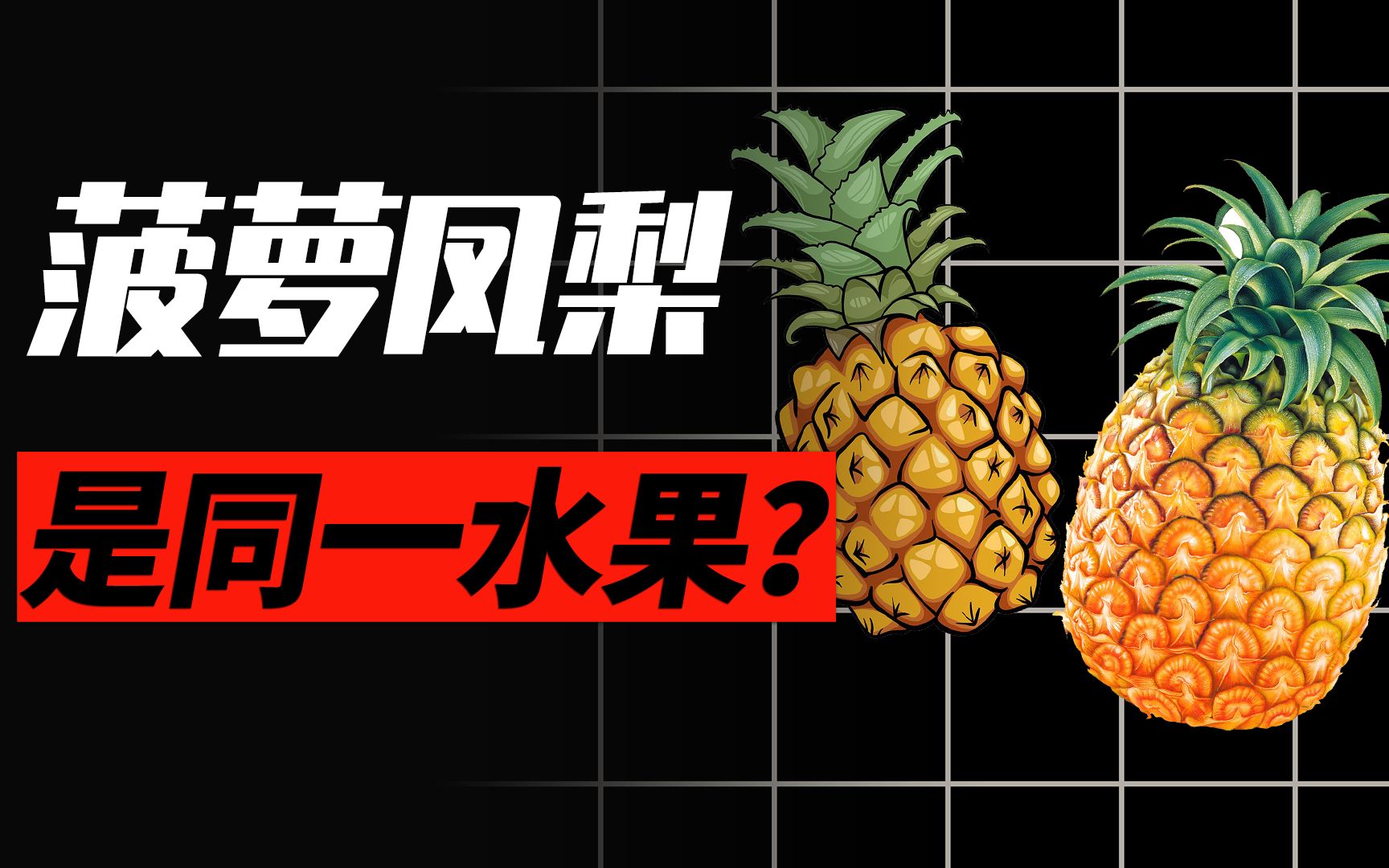菠萝和凤梨到底是什么关系?不是一种水果吗?