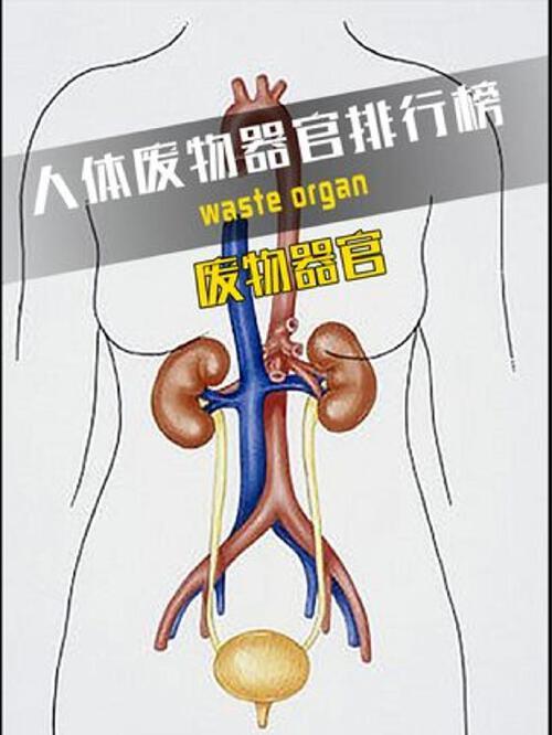 身体的无用零件排行榜,男生比女生多两种,最后一个是真没用!