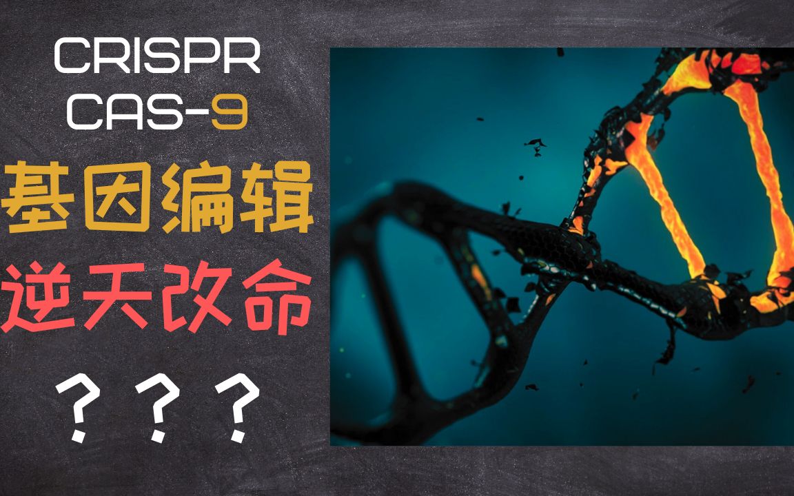 基因编辑,到底是人类通向未来的捷径,还是一只潘多拉魔盒?