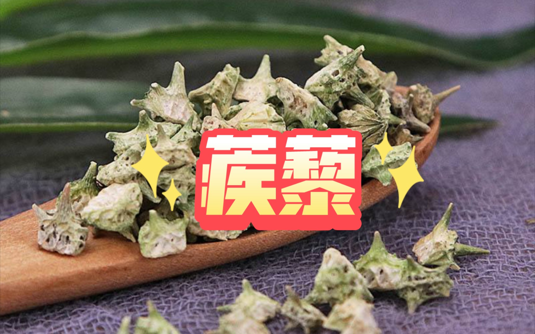 中药材蒺藜,倪师说蒺藜是眼科要药