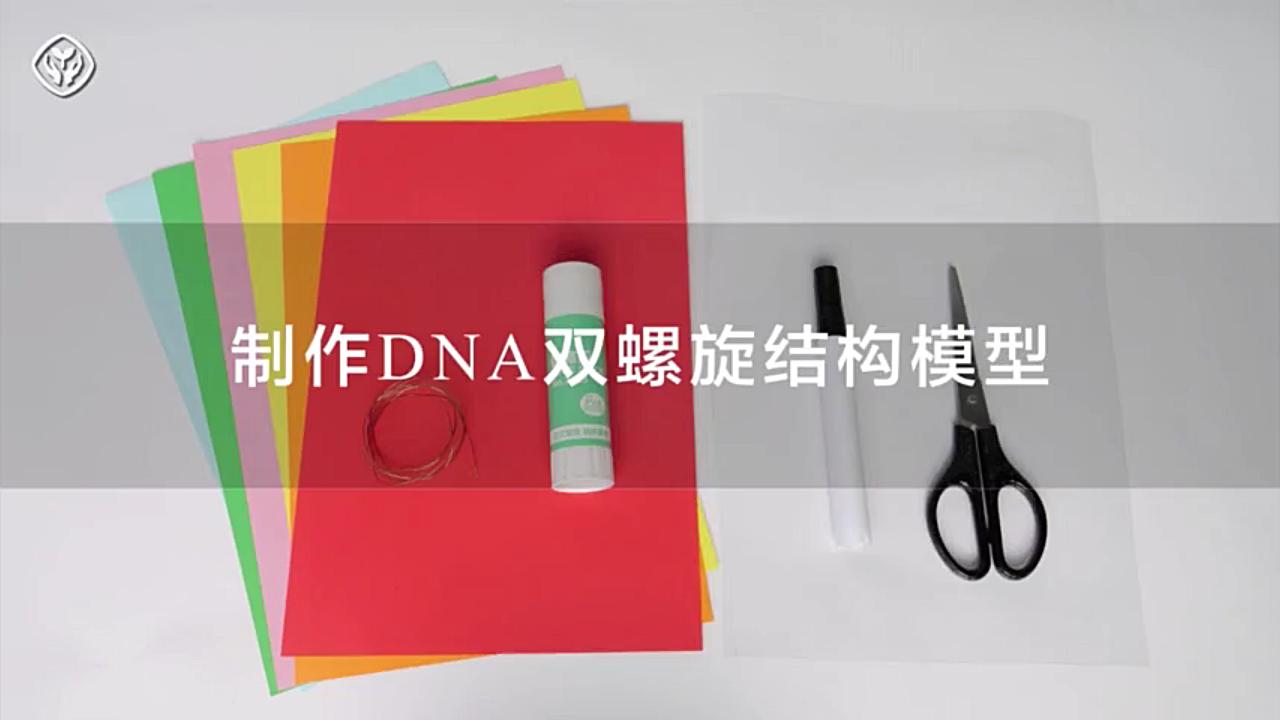 【必修2模拟实验】制作DNA双螺旋结构模型 人教版统编教材高中生物...
