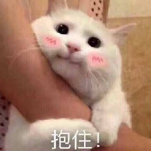 Fisher_GG 