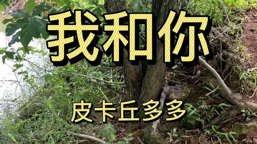 《我和你》皮卡丘多多,歌曲很应场景,难得一见的超级甲壳虫很憨