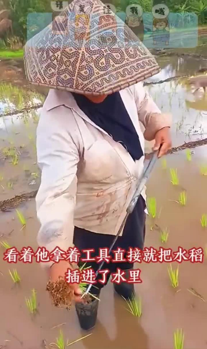 勤劳的农村人,自制种水稻神器