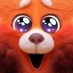 知识探索