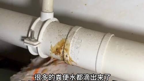 老水工绝招!厕所下水管漏水不砸砖,1招搞定省下上千维修费