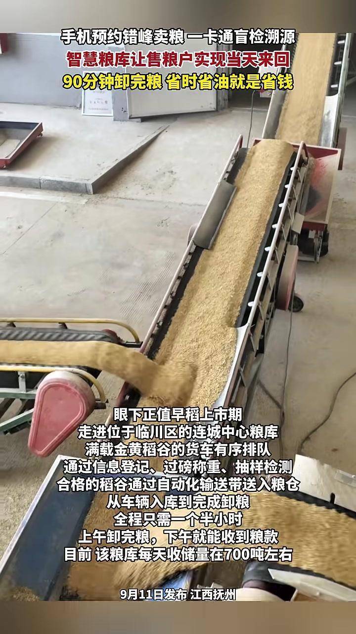 手机预约错峰卖粮,一卡通盲检溯源,90分钟卸完车,省时省油就是省钱,...