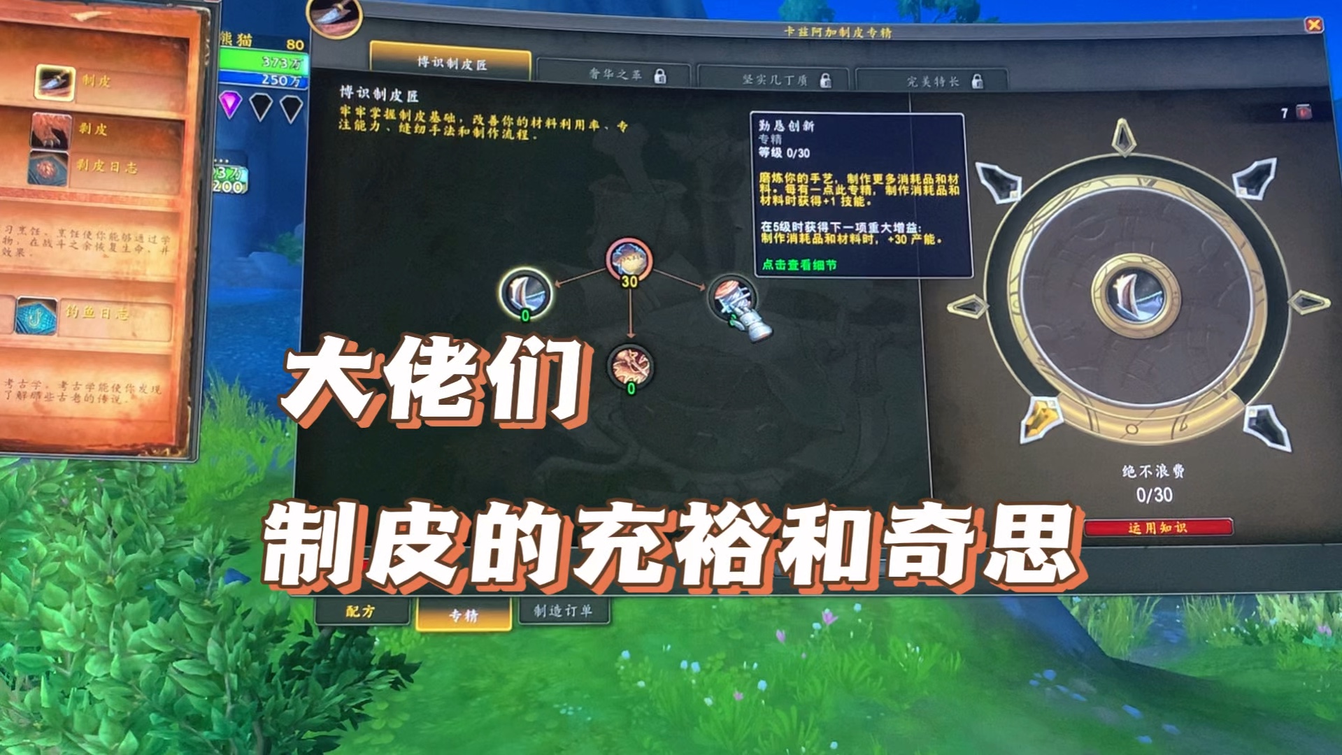 魔兽大佬们,制皮的充裕和奇思是什么意思?_哔哩哔哩bilibili_魔兽世界