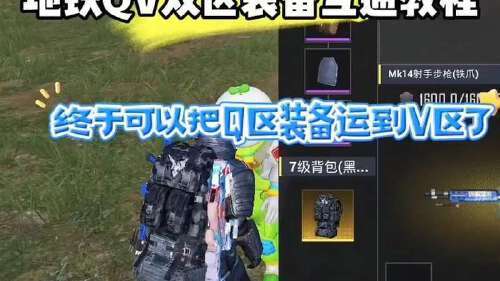 Q区神装秒变V区霸主?一招教你跨区转运,高清模拟器实战揭秘!