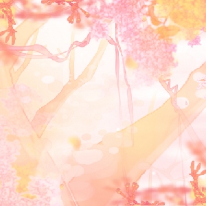 君墨柒 