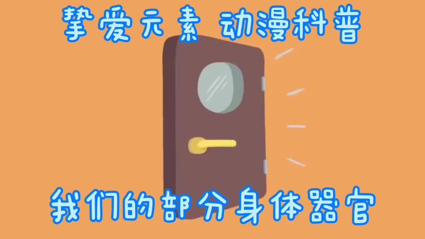 我们的部分身体器官#少儿英语 #动画 #科普 #少儿教育 #英语
