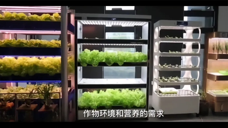 智能温室无土栽培种植技术,让蔬菜更健康