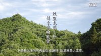 Deep in Japan 日本的综合咨询企业——埃森哲日本公司(中国語版)