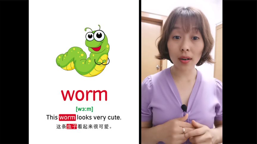 你家孩子认识多少爬行动物英语单词?建议下载收藏,一起学起来