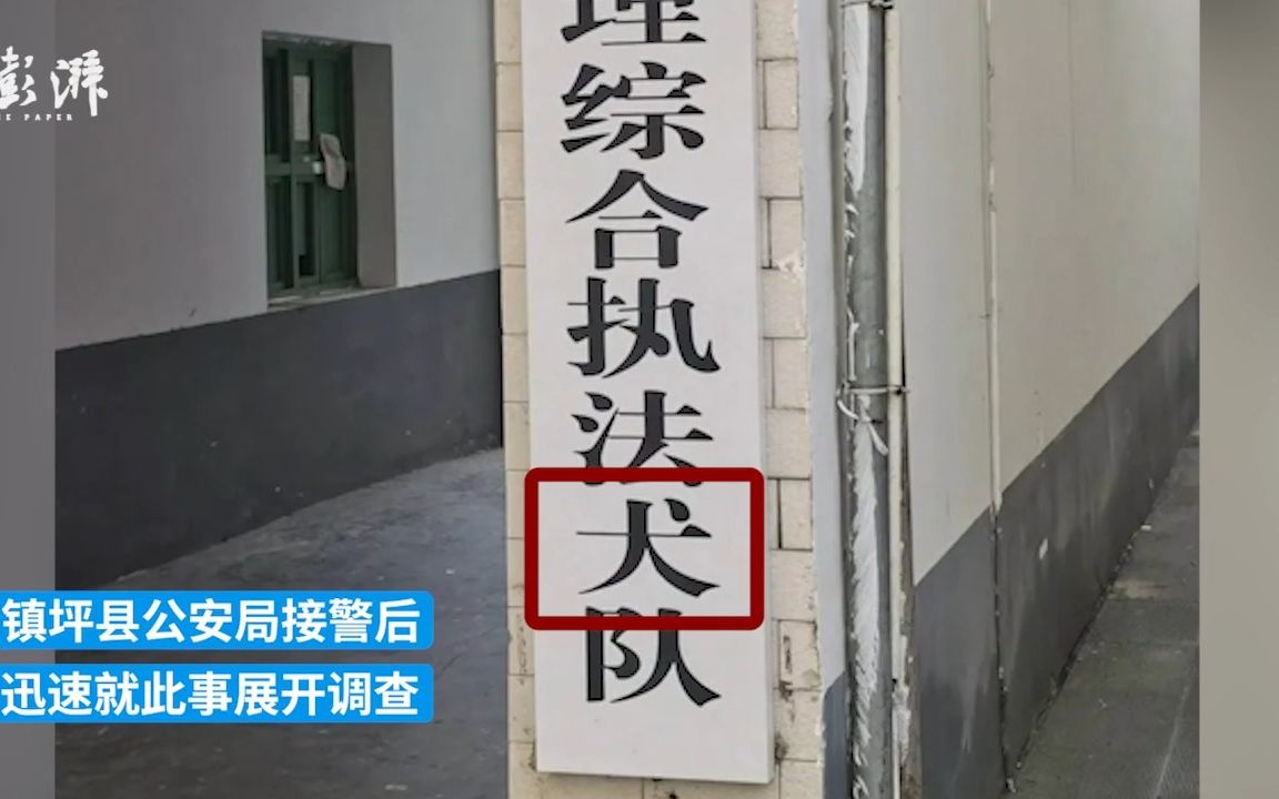 汪?十岁小孩篡改标牌:执法大队改成“执法犬队”