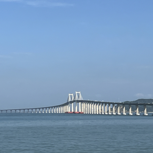 zg说要知行合一 