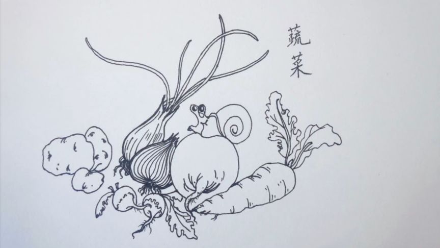 果蔬系列:6钟常见蔬菜的简笔画法,画法画中有写快去看看吧。