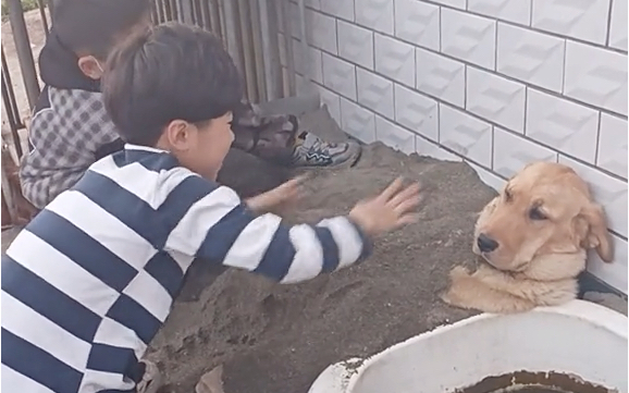 狗:“主人,你管不管!”