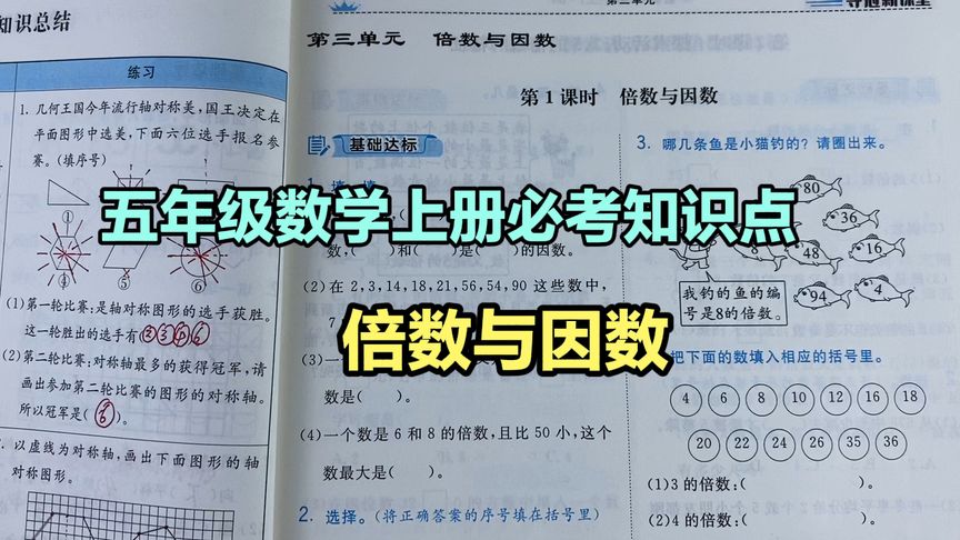 五年级数学上册必考知识点倍数与因数