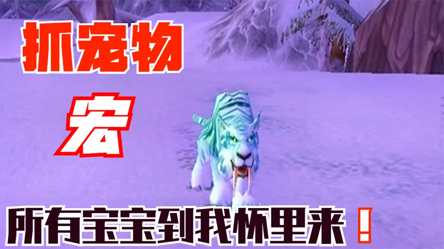 【魔兽世界怀旧服】抓宝宝必备神器,此宏一出谁与争锋