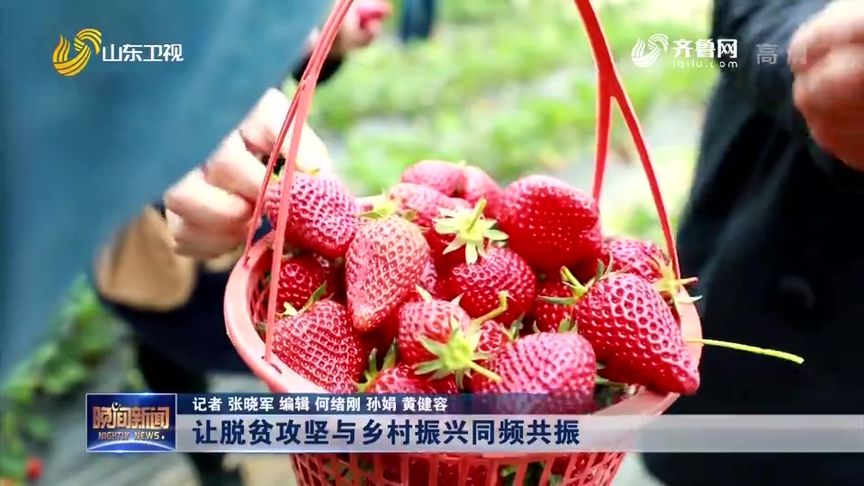 如何衔接"脱贫攻坚"与"乡村振兴"?住鲁全国政协委员纷纷建言献策