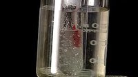 固体熔化温度变化规律_海波与石蜡的熔化