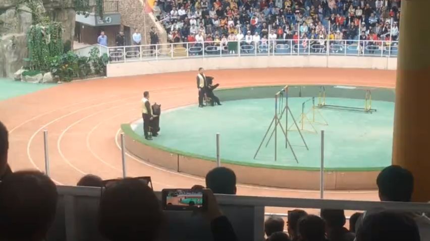 上海野生动物园,马戏团表演