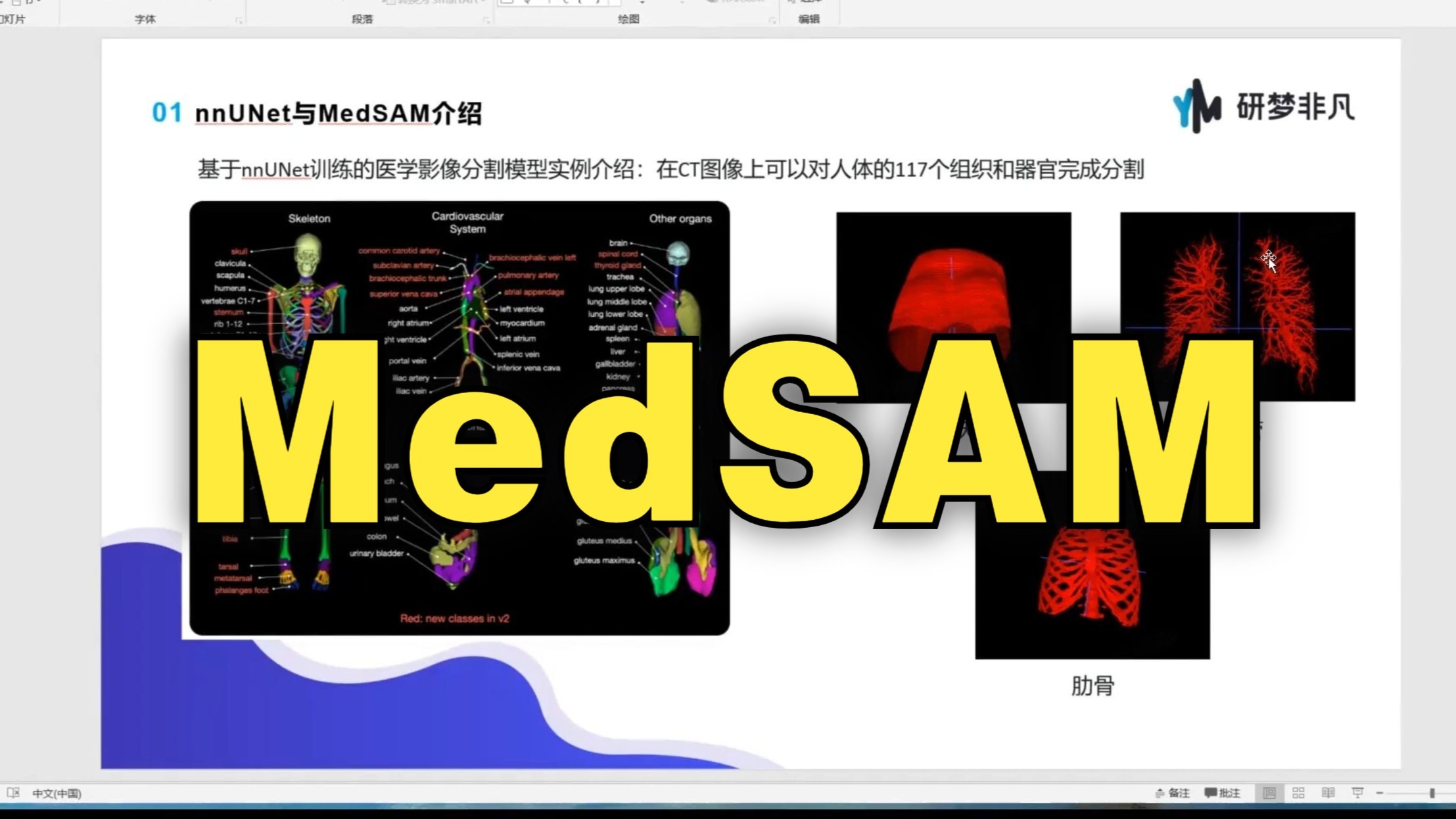 一节课搞懂医学分割终结者模型MedSAM
