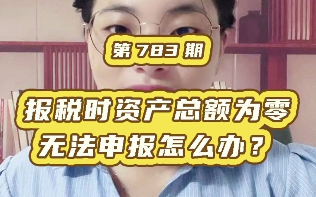 报税时资产总额=零,申报通不过,用这招马上搞定,太机智了!
