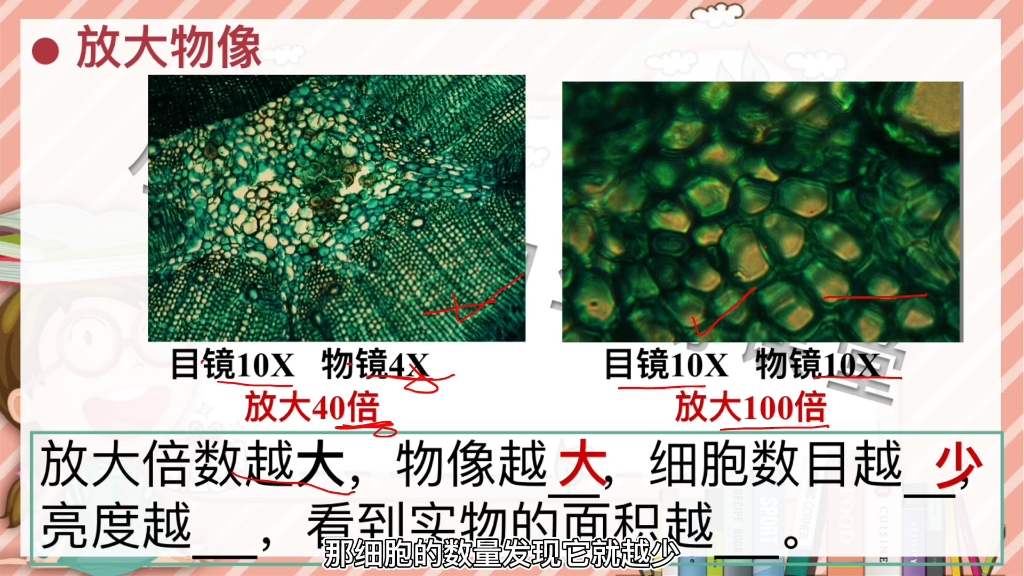练习使用显微镜重难点五:低倍转高倍时,成像会发生什么变化呢? #初中...