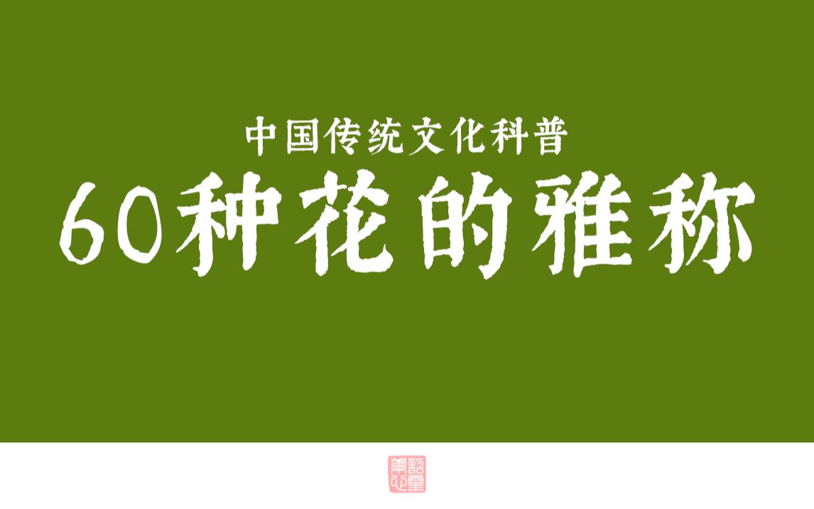 【花】一些花的别称之美 | 中国传统文化科普