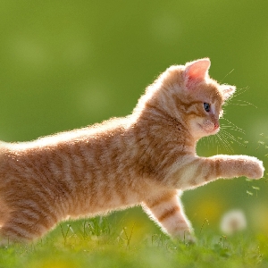 海边夏天那微风 